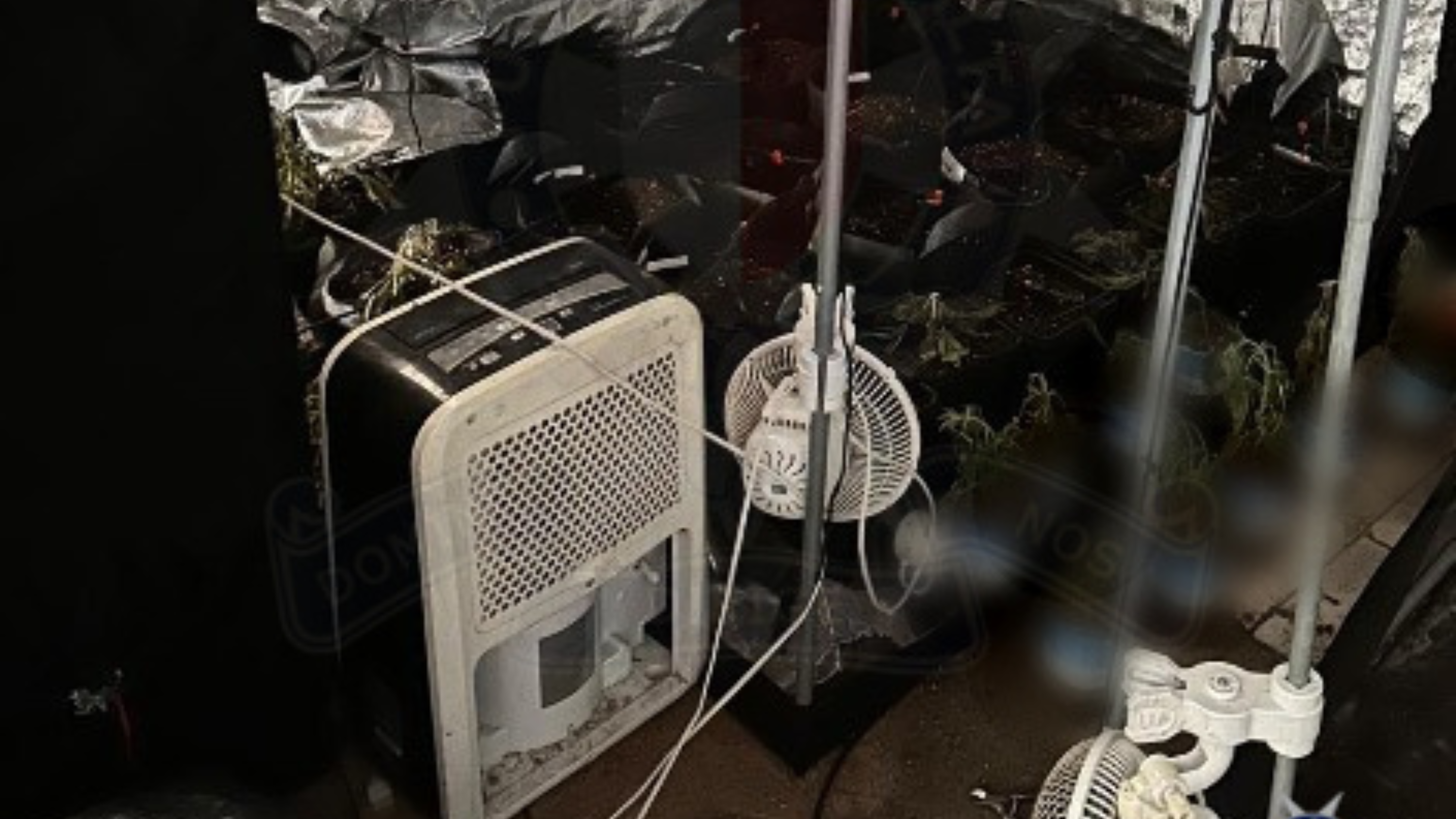 Police arrest four men in separate drug-related operations