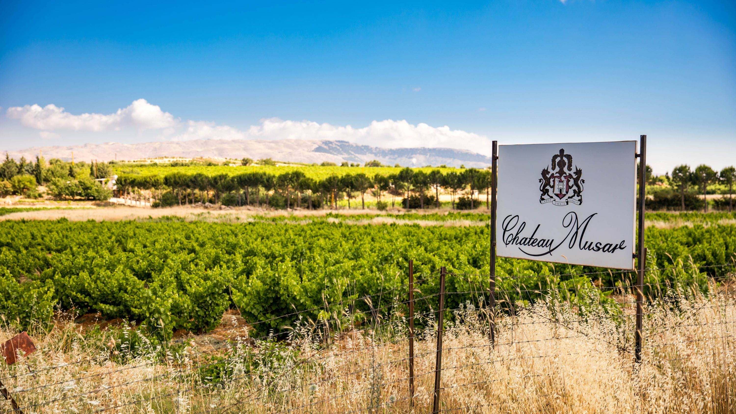 A night of prestige & elegance: The Chateau Musar wine tasting ...