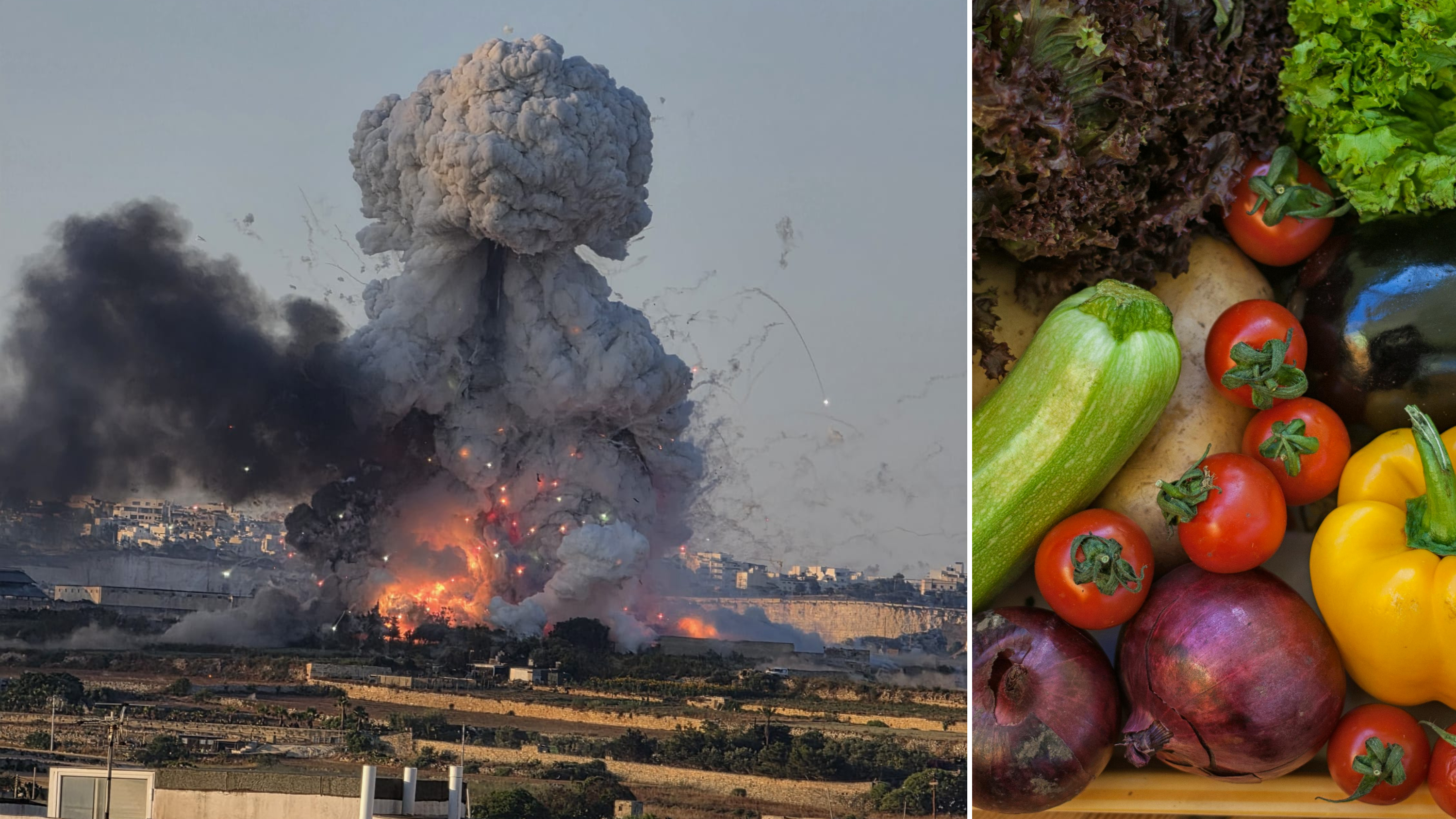 Food safety authority launches investigation after Monday’s fireworks ...