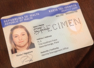 MaltaToday.com.mt - News