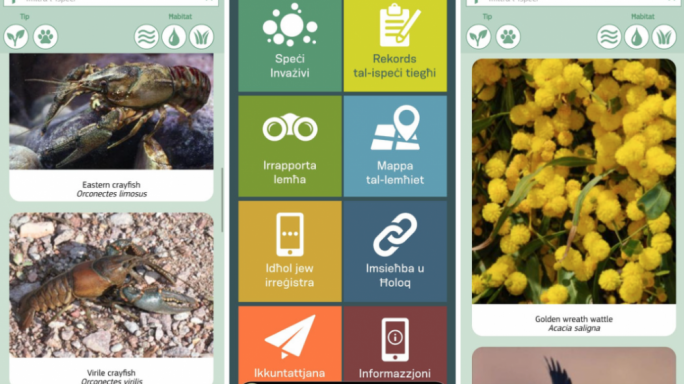 Malta phone app sends alert of invasive alien species