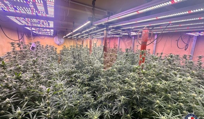 Police raid cannabis-growing operation in Żurrieq garage