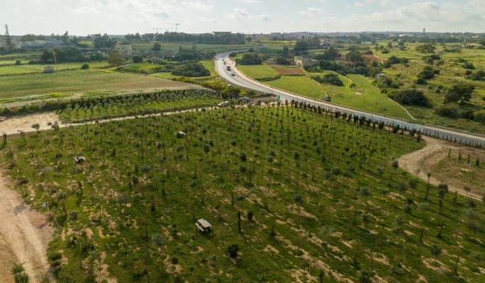 Our commitment to a greener tomorrow | Steve Ellul