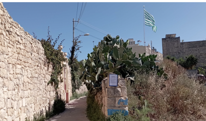Five-storey block proposed next to scheduled Għaxaq gardens