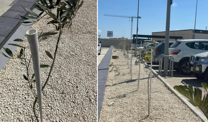 Mosta Local Council takes issue with supermarket's 'poor landscaping'