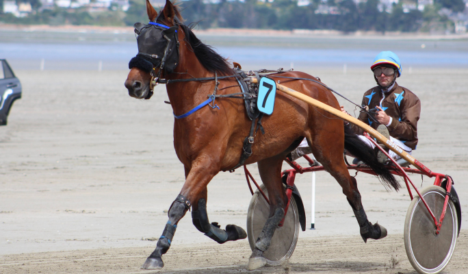 Sulky rider grievously injured after accident in Gozo horse-racing track