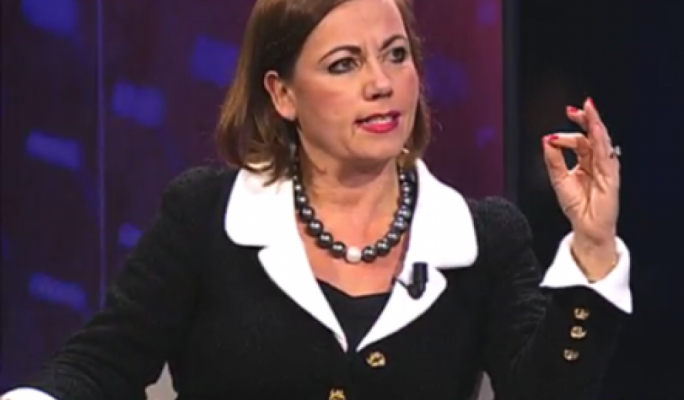 Ann Fenech denies Panama allegations in libel case