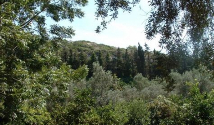 Landscape ecologist tasked with drafting afforestation outline plan ...