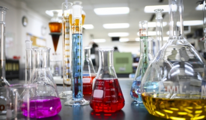 Would-be lab thief released on bail