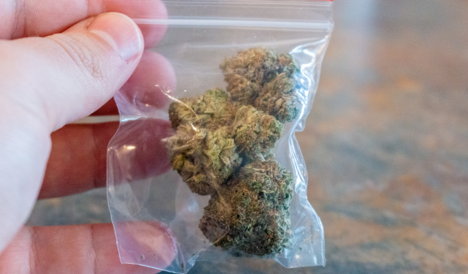 Police find 70g of cannabis after accused crashes car in front of police station