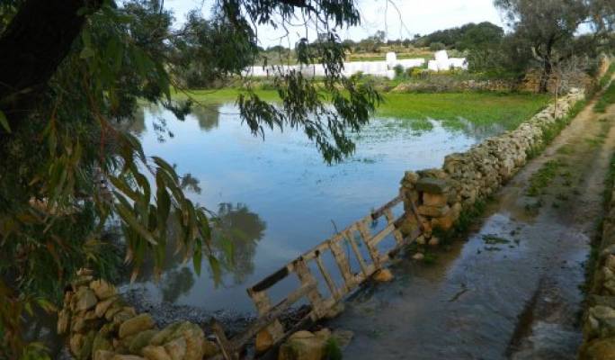 [WATCH] Extension of Bulebel industrial estate would cause disastrous ...