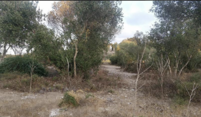 Hal-Ghaxaq set to get picnic area