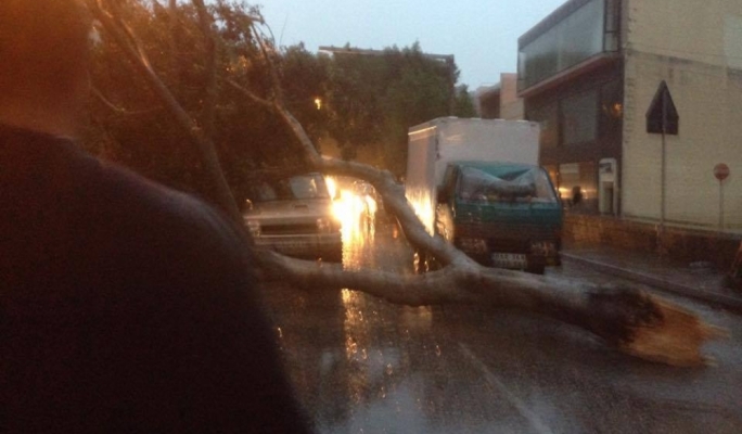 Updated | Rare cyclone suspends aircraft activity, power outages ...