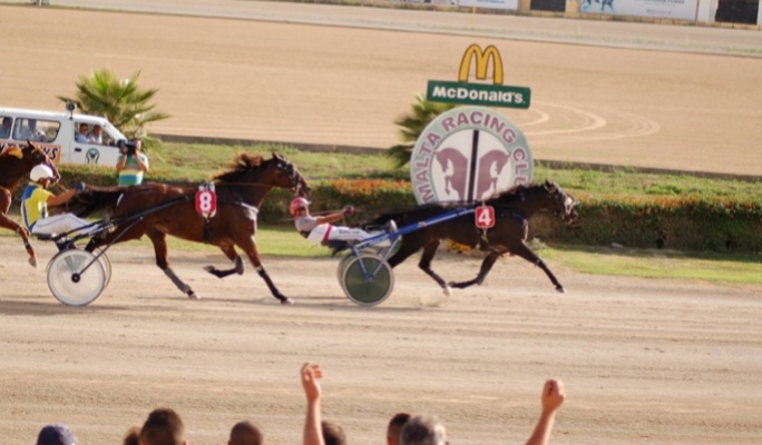 Marsa horse racing track revamp will be done in six months