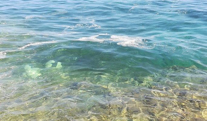 Fish farm slime blights Malta’s southern shores, environment watchdog ...